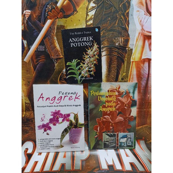 Jual PESONA ANGGREK, PERBANYAKAN VEGETATIF PADA ANGGREK, ANGGREK POTONG ...