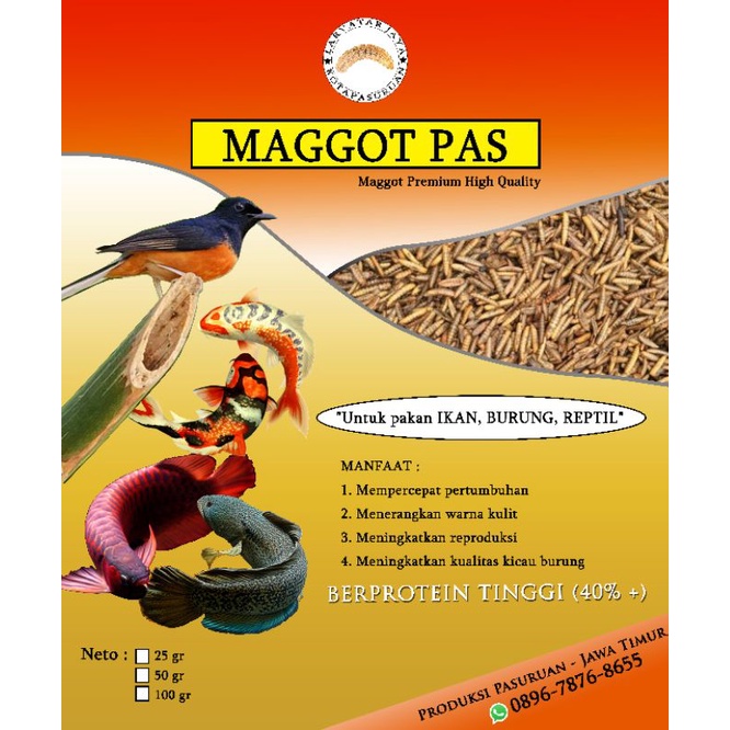 Jual Maggot Pas, Maggot Kering 25 gr, 50 gr, 100 gr, Kwalitas Super ...