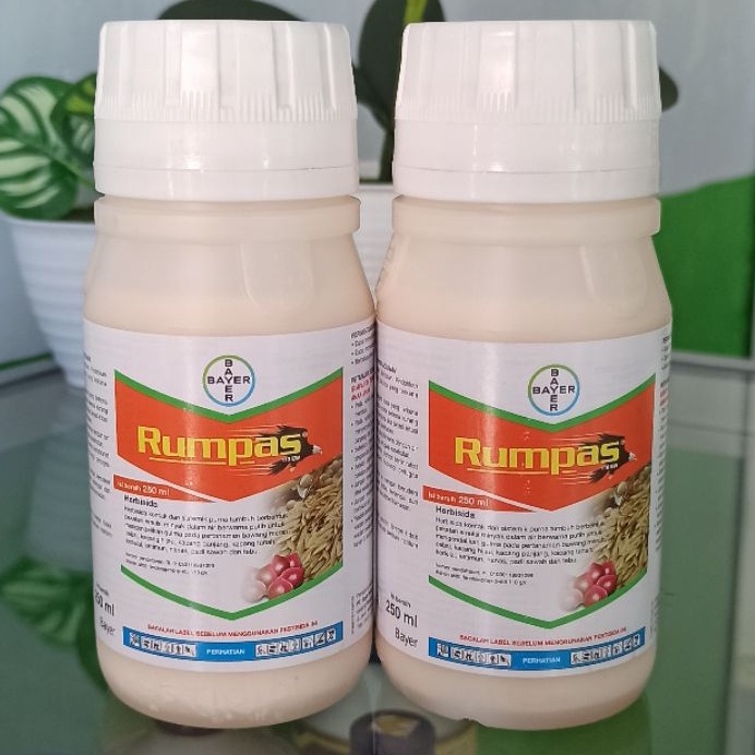 Jual HERBISIDA RUMPAS 120 EW - 100 ML | Shopee Indonesia