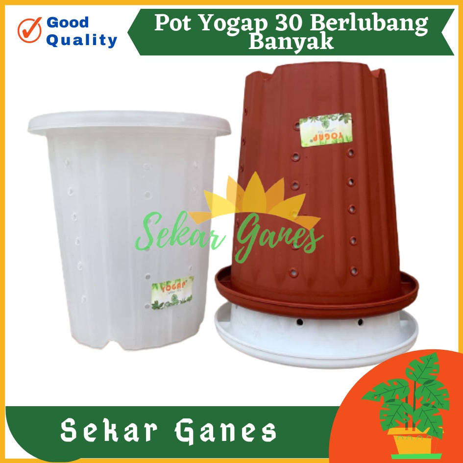Jual TERMURAH Pot Yogap 30 BERLUBANG Putih Bening Transparan Merah Bata ...