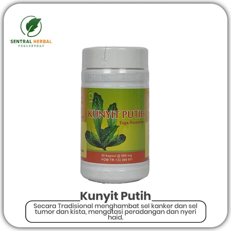 Jual Kunyit Putih Toga Nusantara Untuk Menghambat Sel Kanker Tumor Dan ...