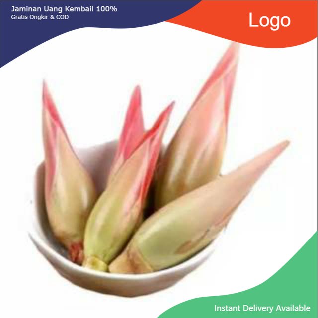 Jual Promo Bunga ke combrang segar 100gram bunga honje rombeh ...