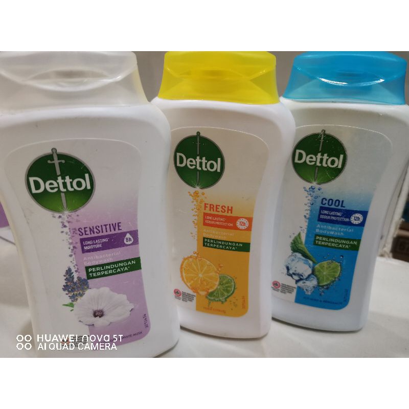 Jual sabun cair dettol botol 100ml alvariant | Shopee Indonesia