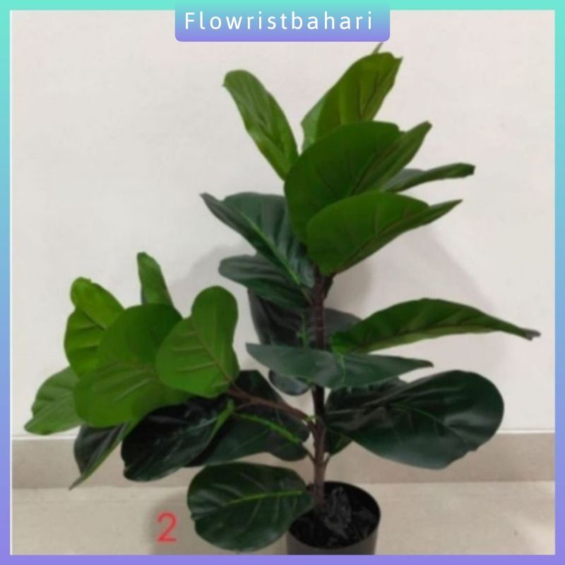 Jual Dekorasi artificial pohon Ketapang latex palsu plastik pohon ...