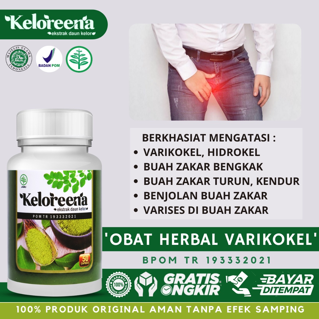 Jual Obat Varikokel Buah Zakar Bengkak Sebelah Kanan Kiri Nyeri Buah ...