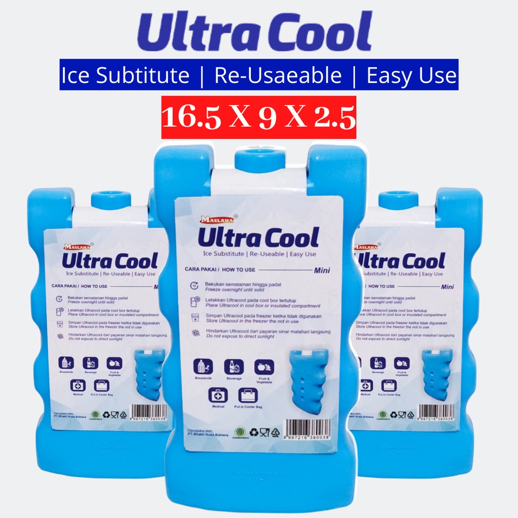 Jual ICE PACK BLUE ICE / ICE PACK KOTAK / COOLPACK KECIL MODEL BARU ...