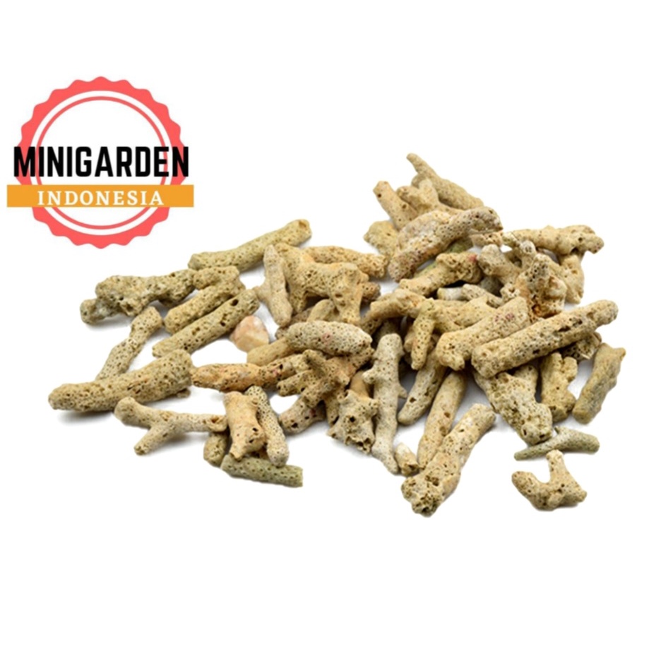 Jual KARANG JAHE ZAK KARUNG 10KG media filter penetral ph air aquarium ...