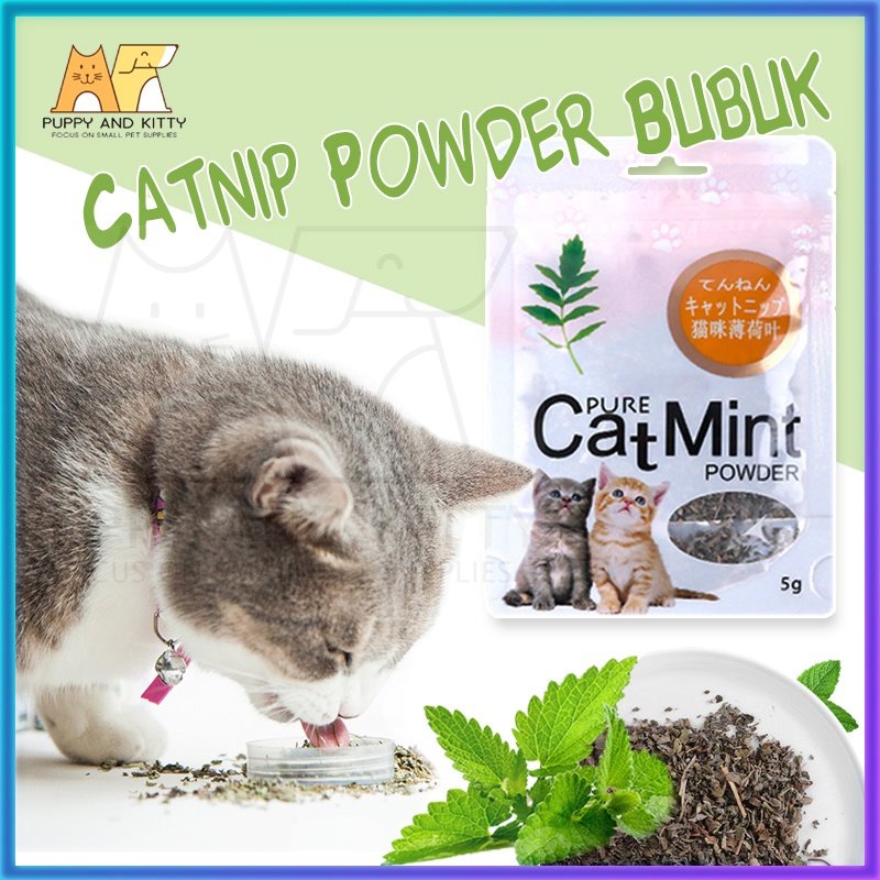 Jual CATMINT POWDER Cat Mint Catnip Powder Cemilan Snak Kucing Cat ...