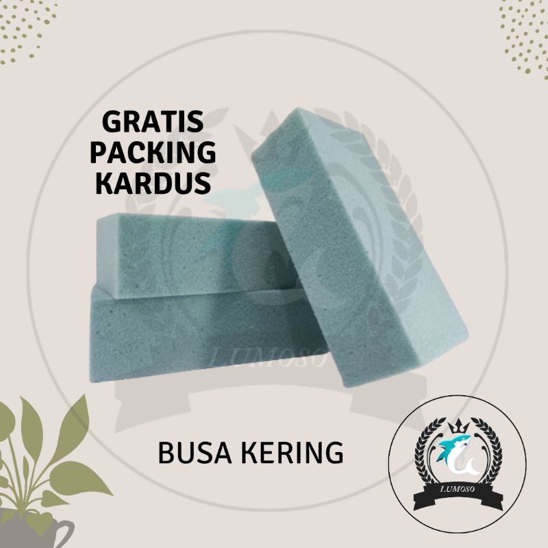 Jual Floral Foam busa kering. styrofoam. gabus bunga. buket bunga ...