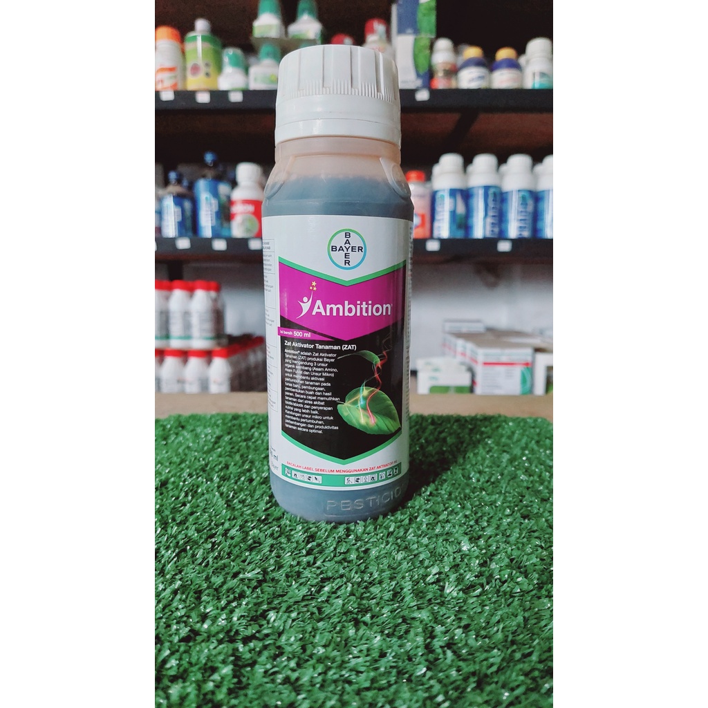 Jual AMBITION 500 ml | Shopee Indonesia
