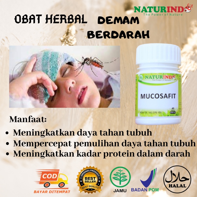 Jual Mucosafit Obat Herbal Demam Berdarah Dbd Denggi Dangue Naikan ...