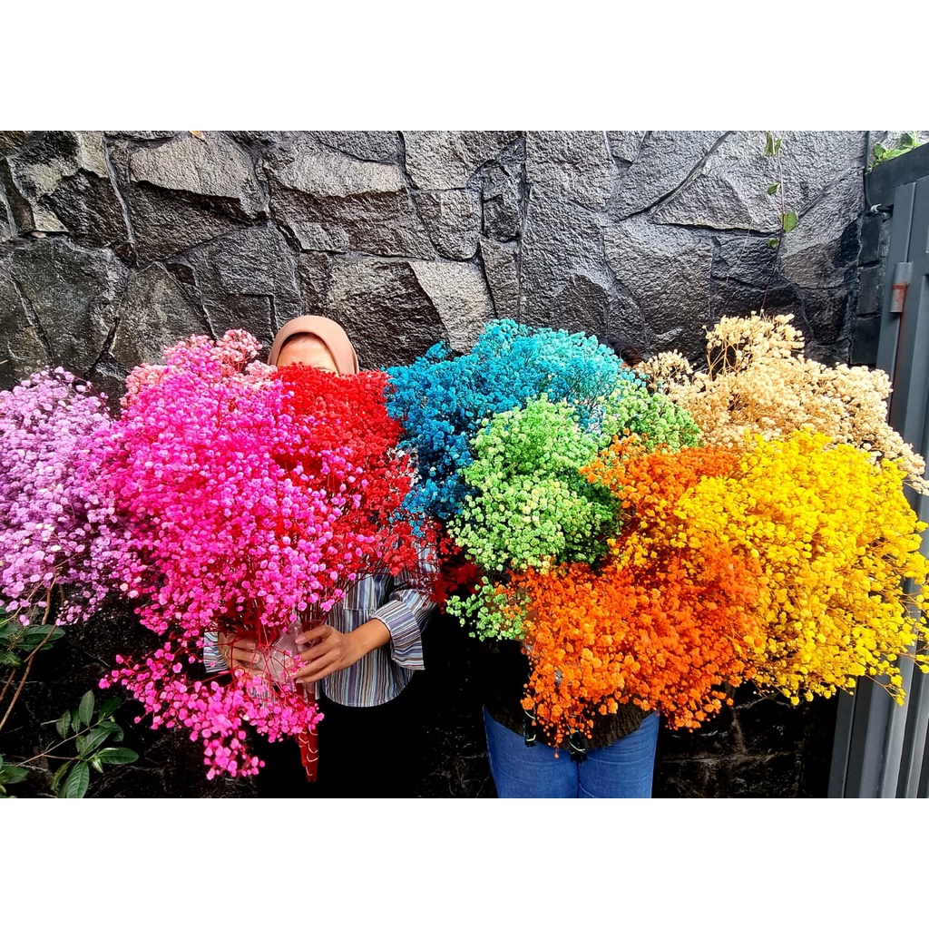 Jual [1 Ikat Besar +/-120 gr] Preserved Baby Breath - Bunga Gypsophila ...