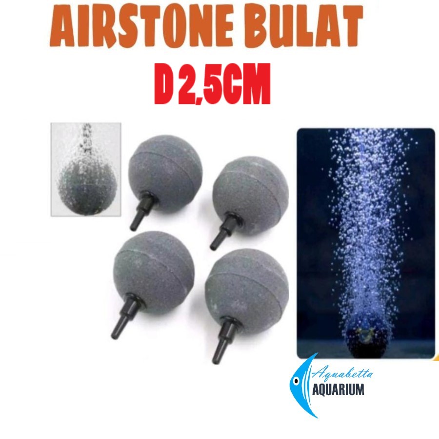 Jual Air Stone Bulat 2.5cm Batu Aerator D2.5 cm Airator Aerasi Aquarium ...