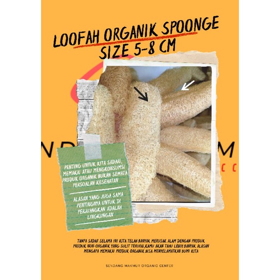 Jual Loofah spoonge organik 100% / Serat oyong gambas / 8-15cm | Shopee ...