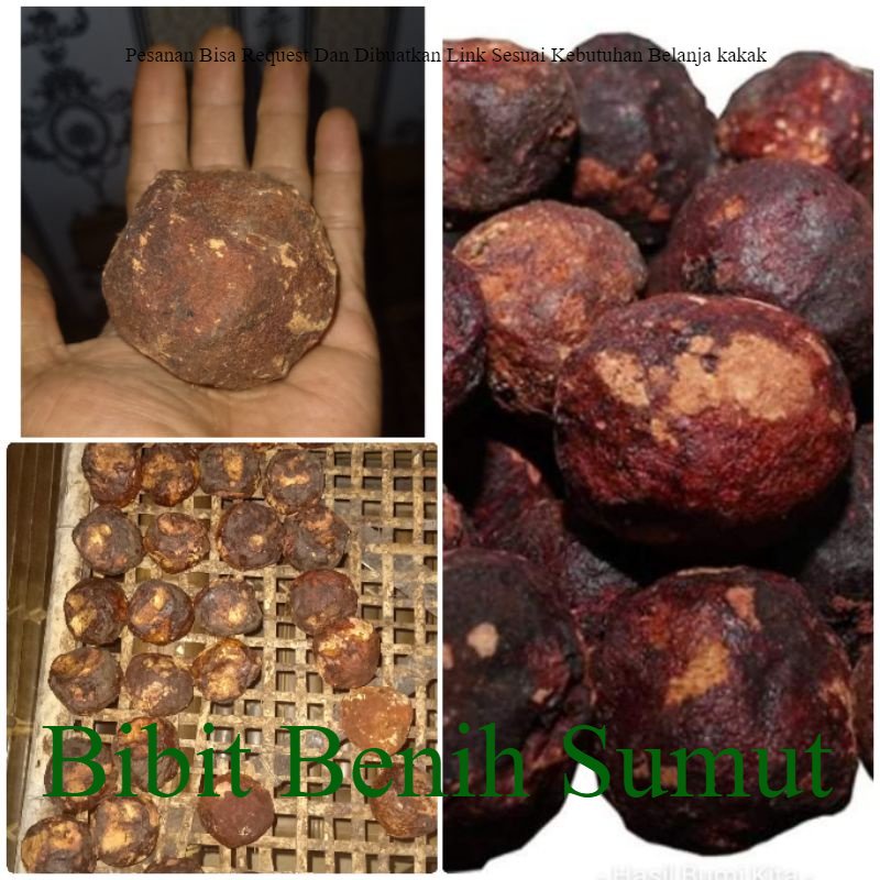 Jual Gambir Getah 1Kg Gambir Serbuk Gambir Herbal Gambir Sumatera Obat ...