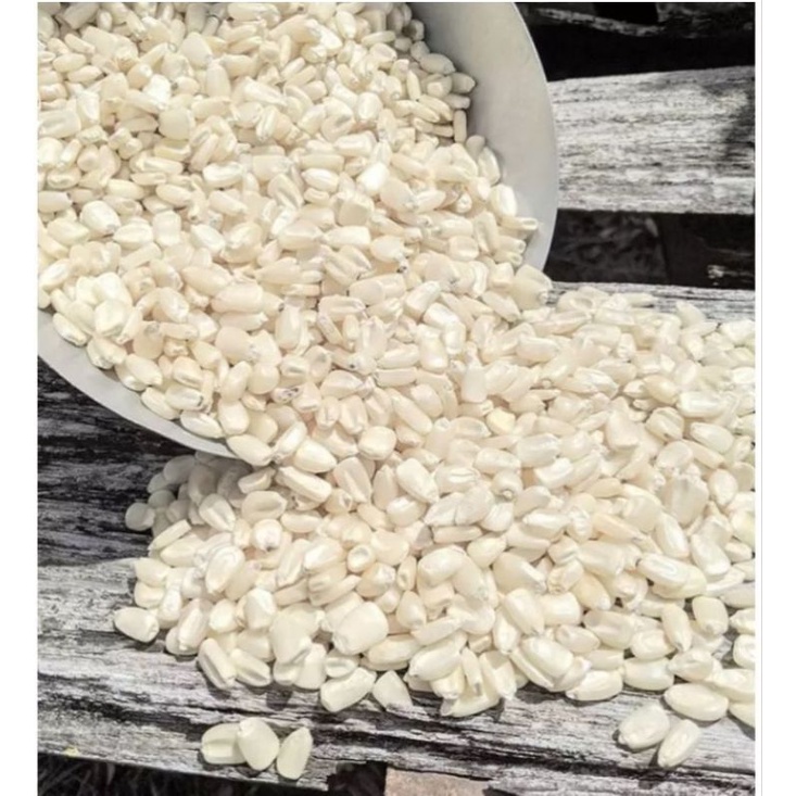 Jual 1 KG BENIH BIJI JAGUNG PUTIH SUPER | Shopee Indonesia