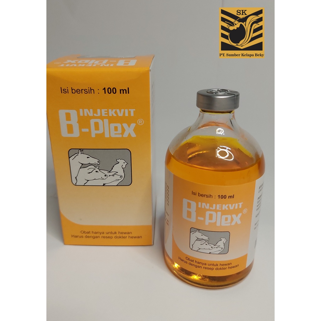 Jual Vitamin B Kompleks untuk Hewan/Ternak Terbaik Injekvit B-Plex 100 mL (medion) | Shopee ...