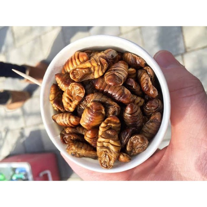 Jual Korean Beondegi Kepompong Ulat Sutera Frozen From korea 250g Made ...