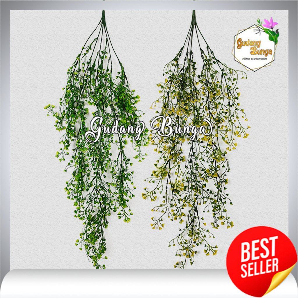 Jual Daun Juntai Lonceng cabang 5 Anggrek Juntai Tanaman Gantung Hias ...