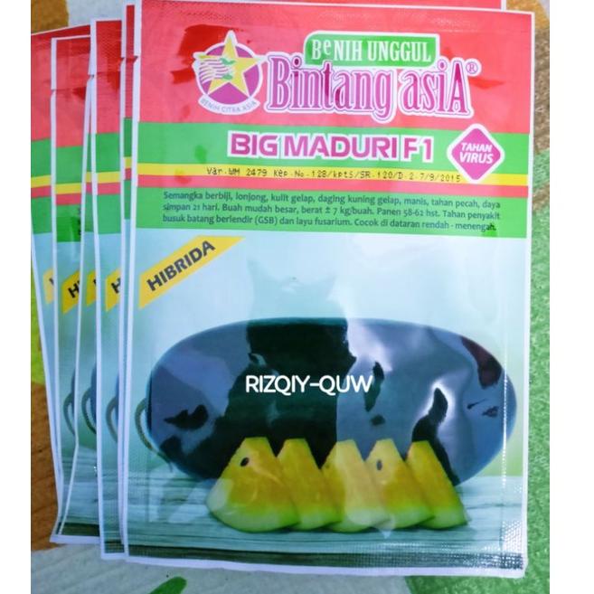 Jual BIG MADURI f1/BENIH SEMANGKA/BENIH INUL/BENIH SEMANGKA KUNING/20 ... Jual BIG MADURI f1/BENIH SEMANGKA/BENIH INUL/BENIH SEMANGKA KUNING/20 ...