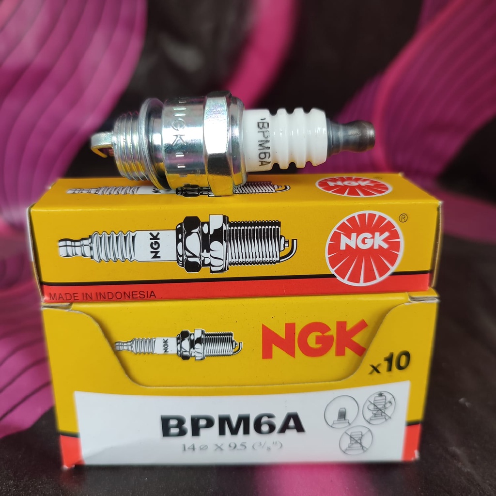 Jual BUSI MESIN RUMPUT ( BPM6A ) | Shopee Indonesia