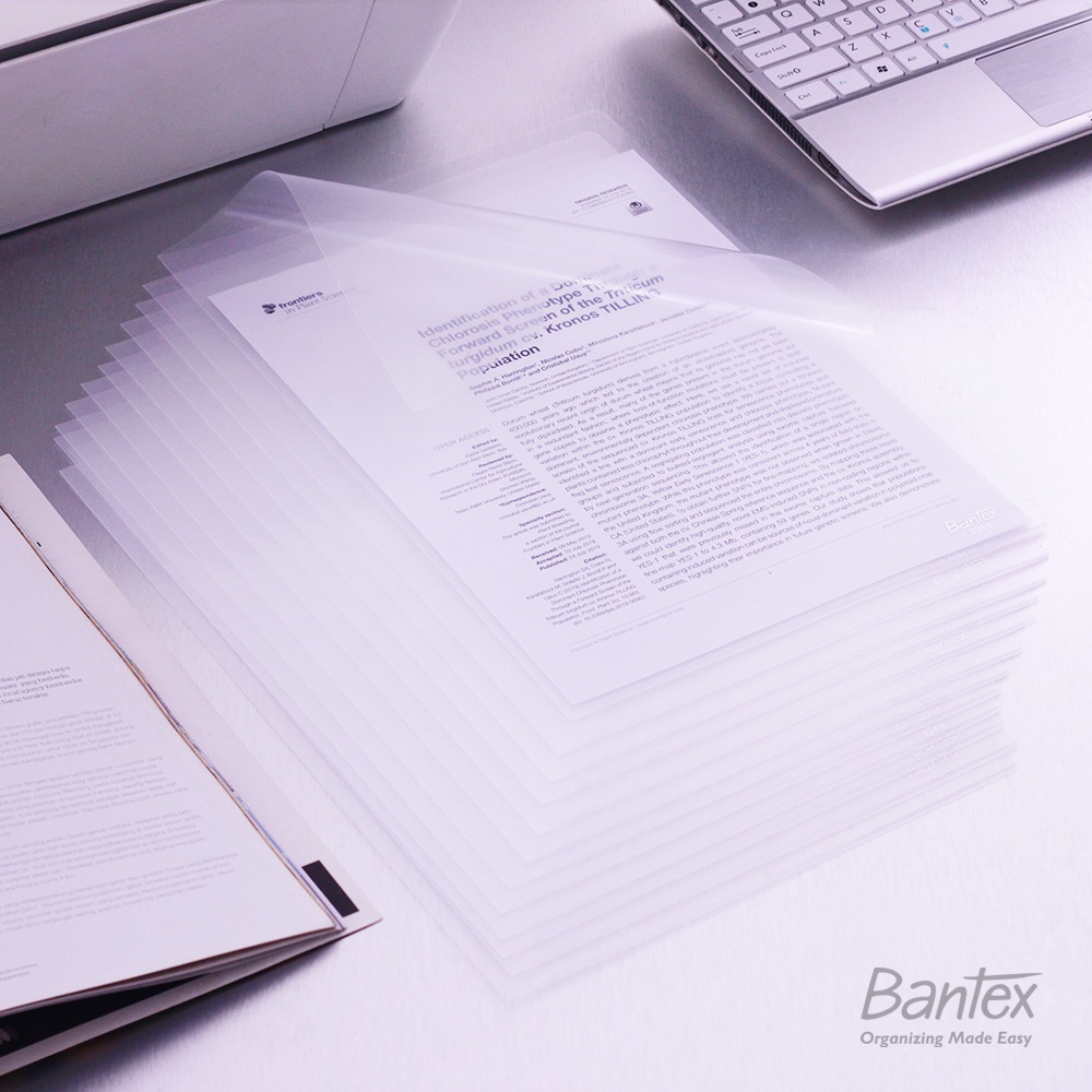 Jual Map L Plastik Bening Clear Sleeve L Folder Folio F4 Transparan ...