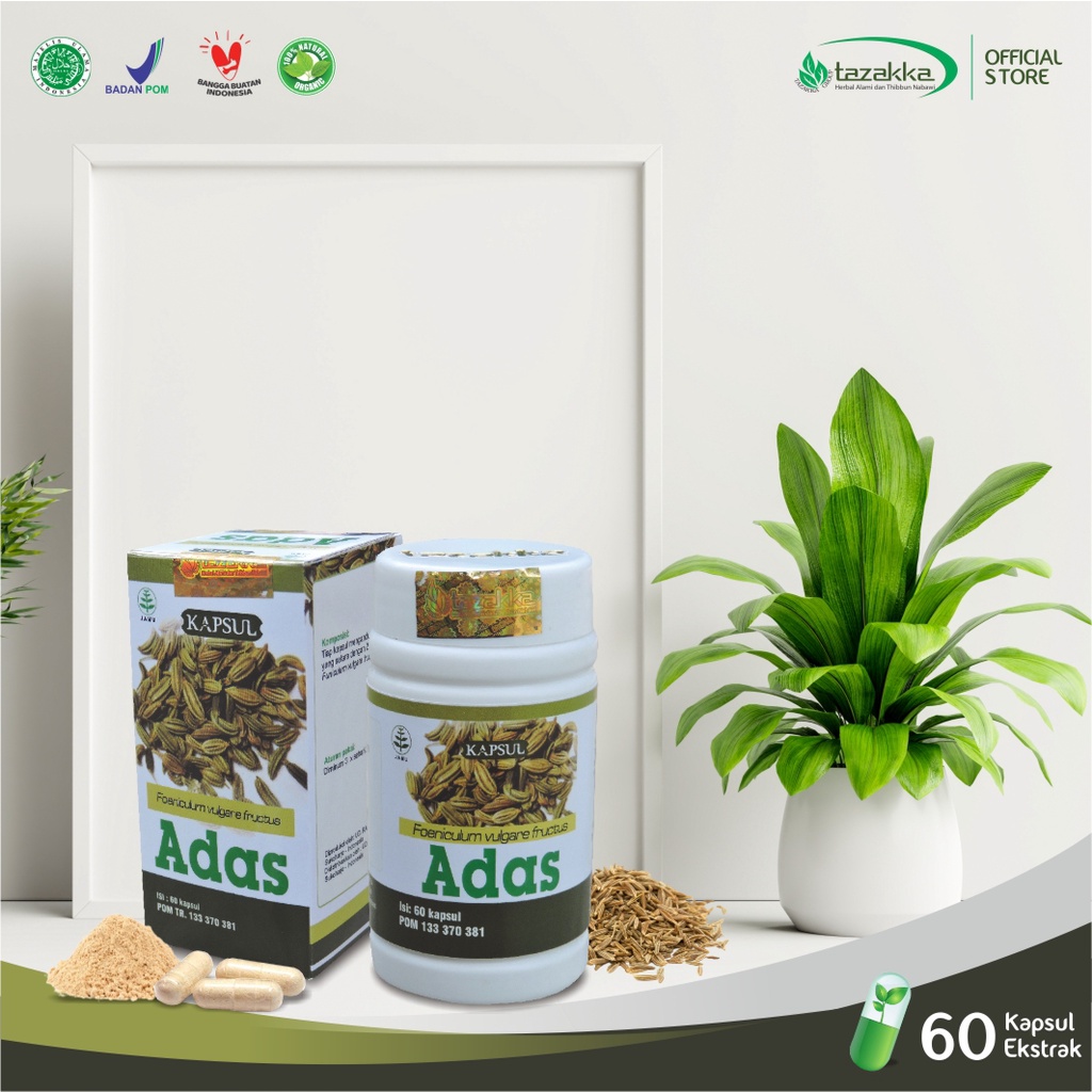 Jual Kapsul Biji Adas Pulowaras Pulosari Obat Jantung Bengkak dan Sesak ...