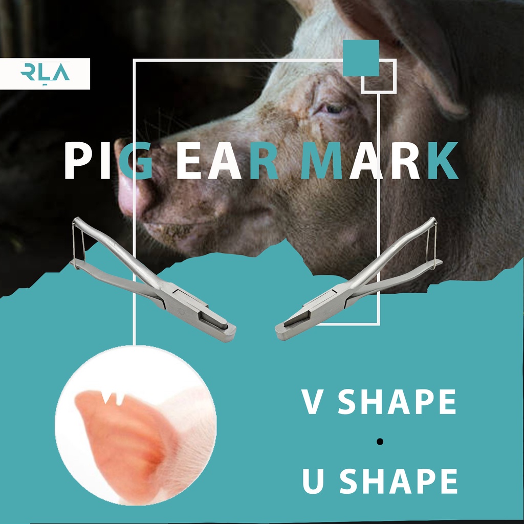 Jual Gunting Telinga Anak Babi - Ear Piglet Punch - Tang - U & V Shape ...