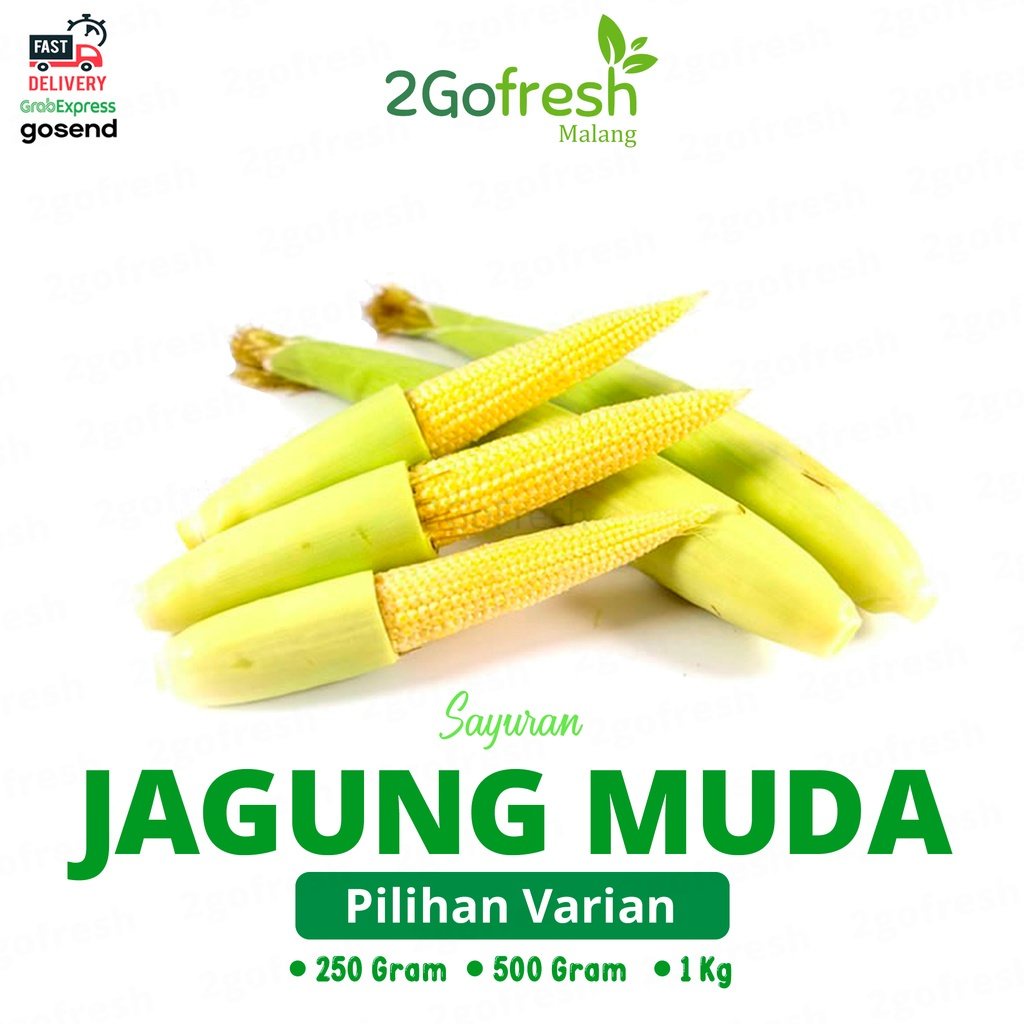 Jual Jagung Muda/ Baby/ Mini Fresh - Sayur Sayuran | Shopee Indonesia