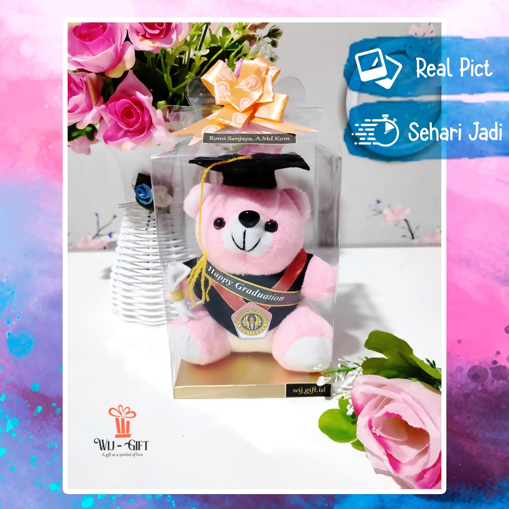 Jual Boneka Wisuda Murah Kado Wisuda Hadiah Graduation Unik Piala ...