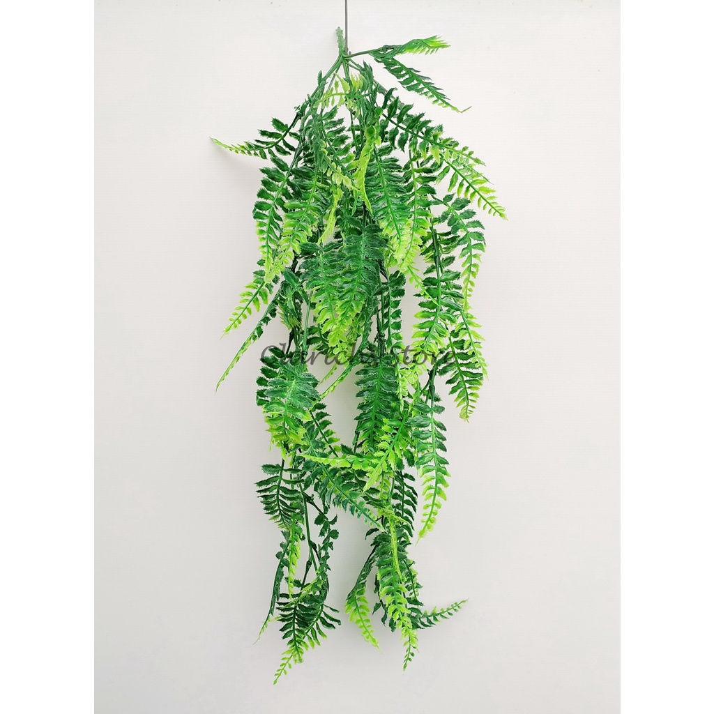 Jual Tanaman Rambat Pakis Boston Plastik Landscape Artificial Plant ...