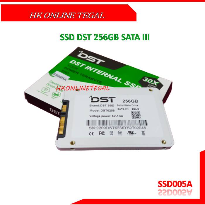 Jual SSD DST 256GB SATA GARANSI RESMI | Shopee Indonesia