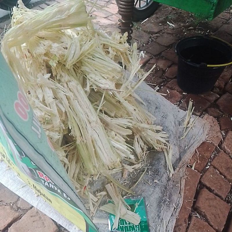 Jual Ampas tebu | Shopee Indonesia