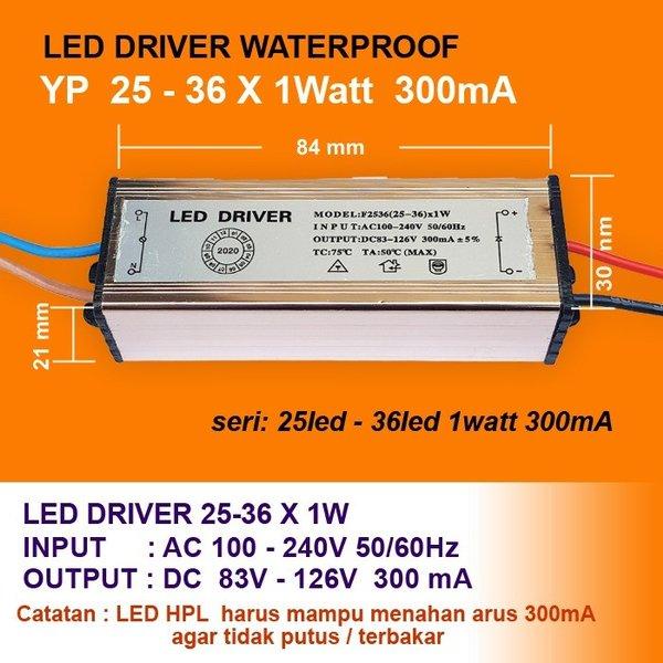 Jual Led Driver Yp 25-36X1 Watt 300 Ma Casing Besi Waterproof | Shopee ...