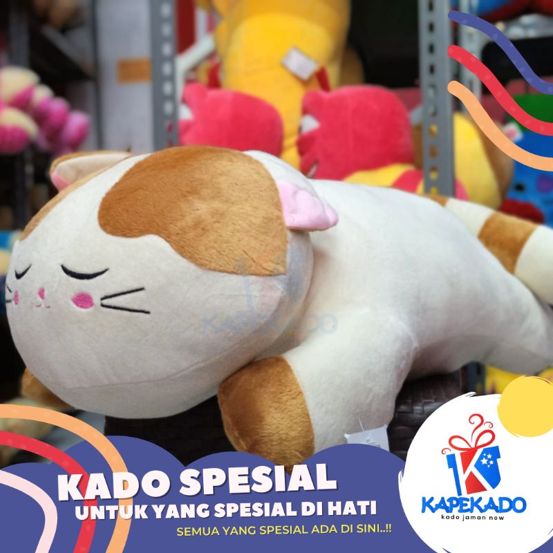 Jual Boneka Kucing Jacob Ukuran L Banyak Variasi Warna Hadiah Kado Gift ...