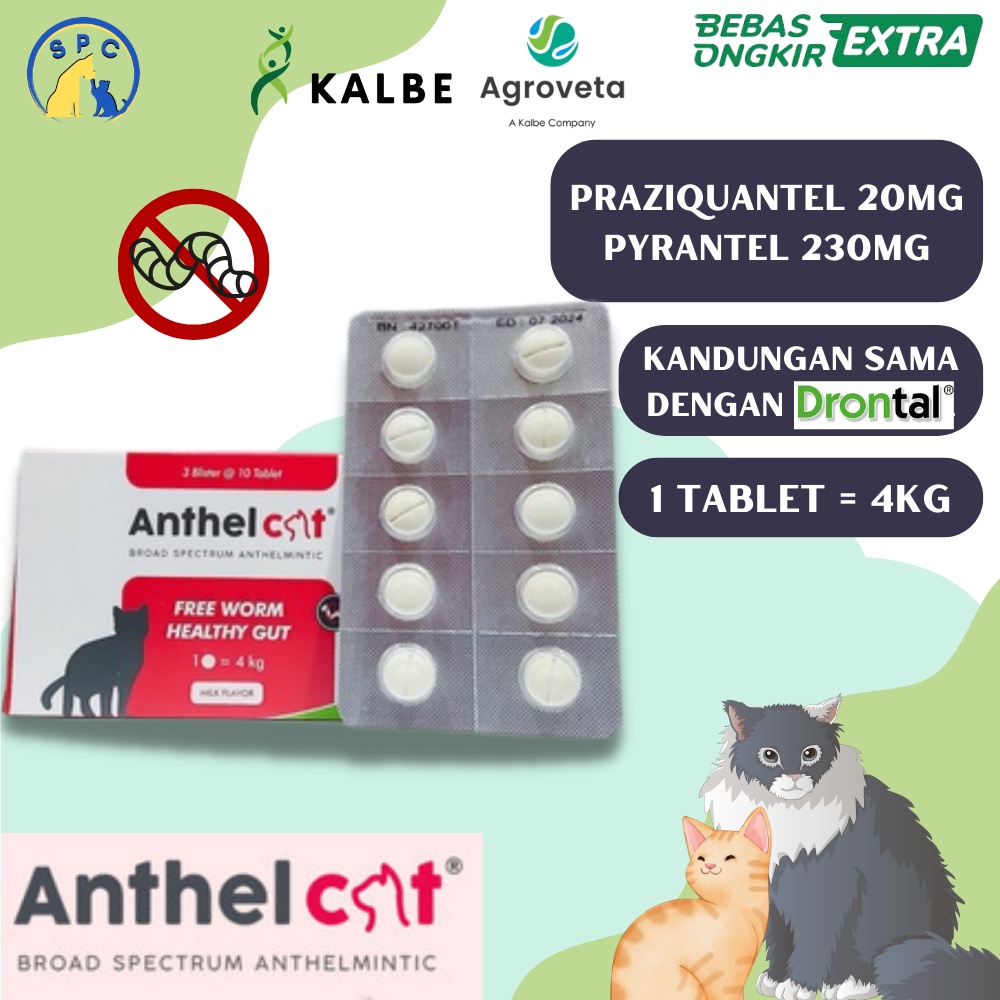 Jual ANTHEL CAT Obat Cacing Kucing Deworming mirip dengan Drontal Cat | Shopee Indonesia