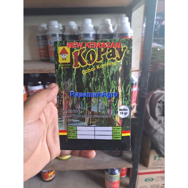 Jual COD - Benih Cabe KOPAY 10 Gram - CMK KOPAY 100% Asli Sumatera ...