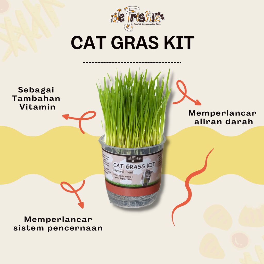 Jual CAT GRASS KIT RUMPUT UNTUK KUCING - ANTI HAIR BALL KUCING | Shopee ...