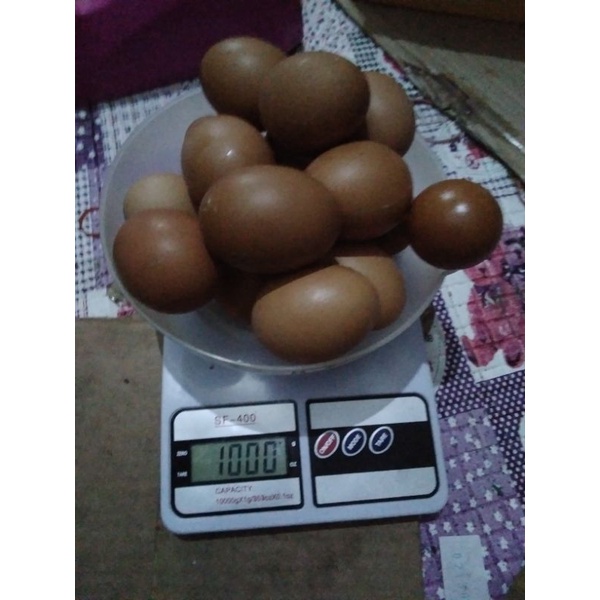 Jual Telur Dalam negeri 1kg khusus instan | Shopee Indonesia