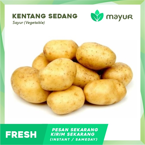 Jual Kentang Sedang Segar (500 gr | 1 Kg) | Shopee Indonesia