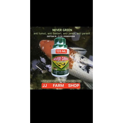 Jual anti lumut never green vitamin obat anti stres ikan lumut bakteri ...
