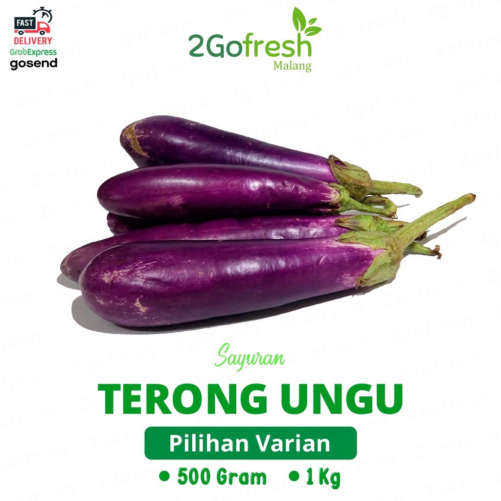 Jual Terong Ungu Fresh - Sayur Sayuran | Shopee Indonesia