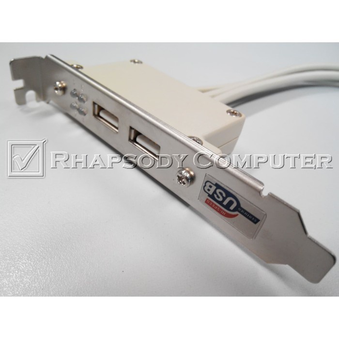 Jual 2 Port Usb 2.0 Rear Panel Expansion Bracket To Motherboard Usb ...