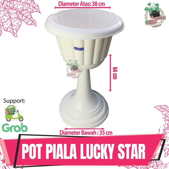 Jual Pot Bunga Tanaman Hias Taman Piala Putih Tinggi Tulip Luckystar ...