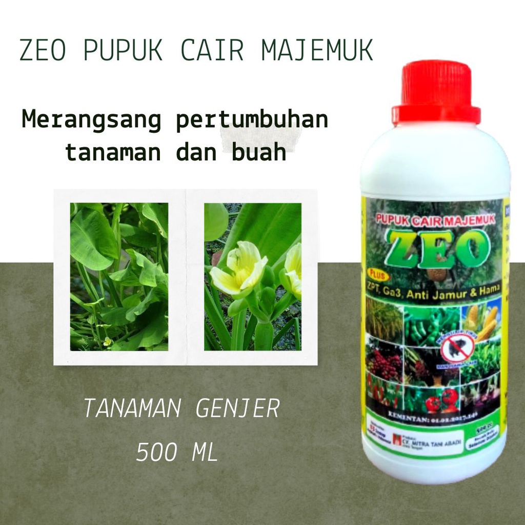 Jual Pupuk Untuk Budidaya Genjer TERPECAYA!!! Pupuk Majemuk Cair 500 ML ...