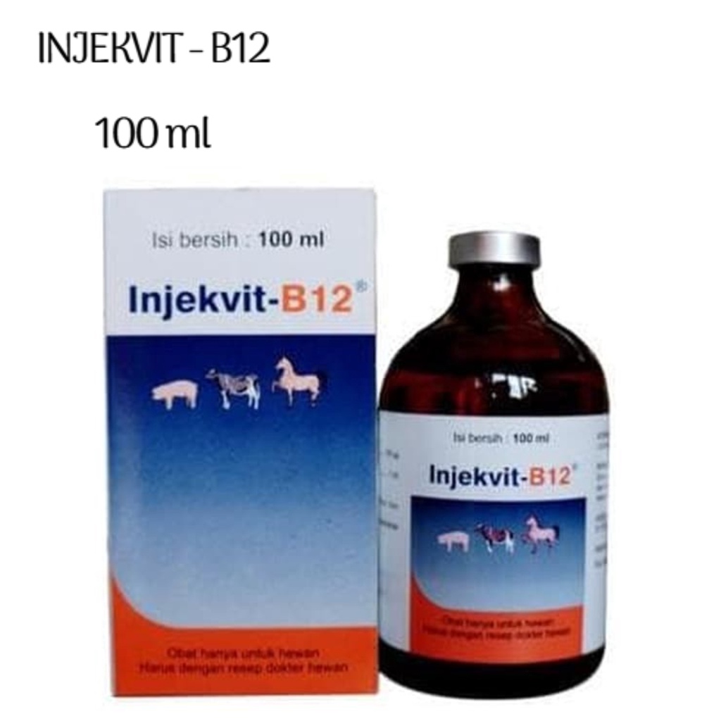 Jual Injekvit B12 100ml Vitamin Pertumbuhan B 12 Injeksi Kambing Sapi ...