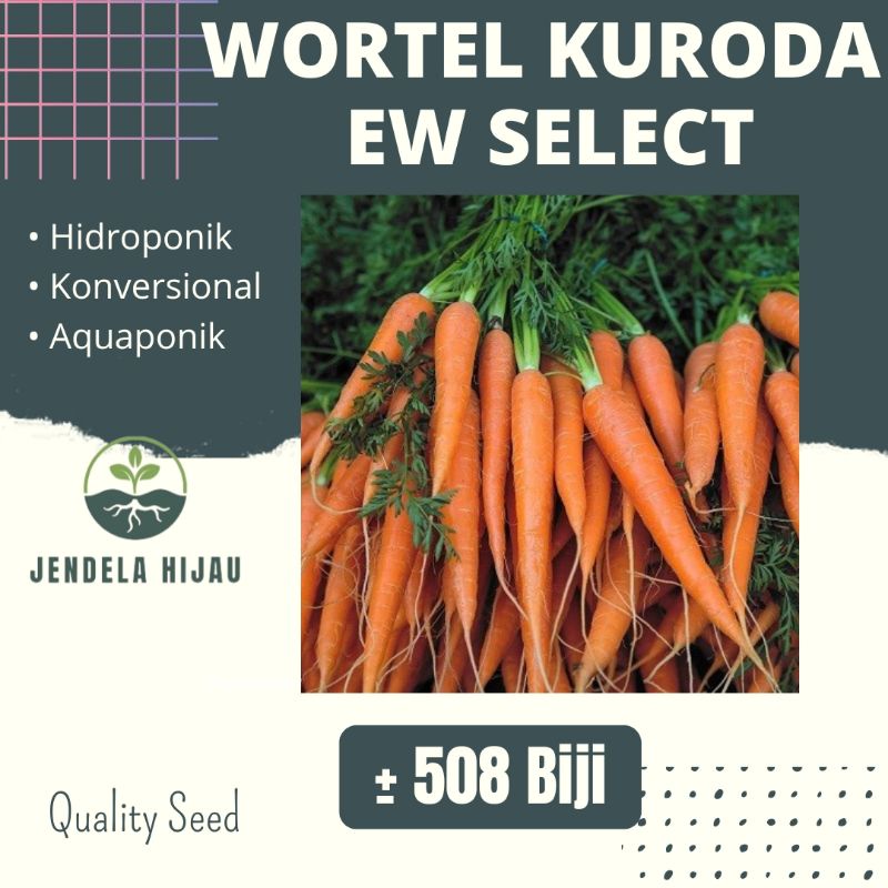 Jual Benih Wortel KURODA EW SELECT - Bibit Tanaman Sayuran Repack ...