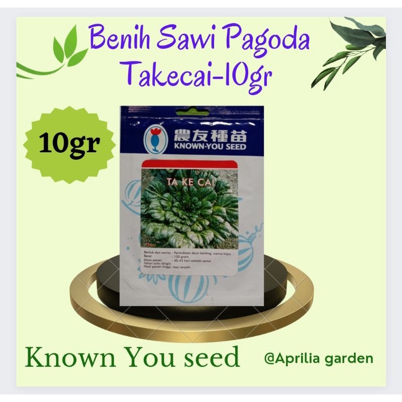 Jual Benih Sawi Pagoda Takecai 10gr Original Known You Seed | Shopee ...