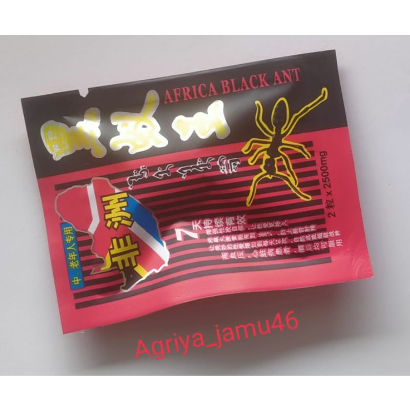Jual Semut kapsul(Black ant) | Shopee Indonesia