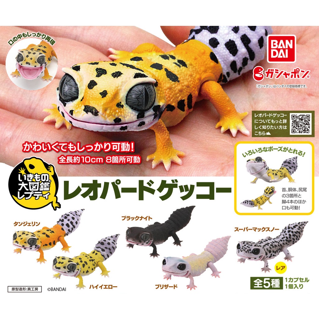 Jual Leopard Gecko Ikimono Daizukan Repti Dangomushi Figure Kadal ...
